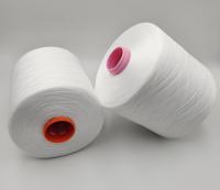 China Flame Retardant Nylon Staple Fiber 6D × 64mm, Hollow, Raw White for sale