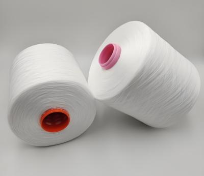 China Flame Retardant Nylon Staple Fiber 6D × 64mm, Hollow, Raw White for sale