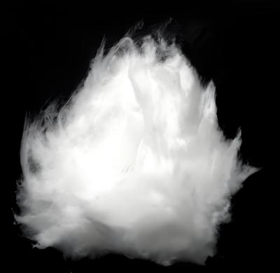 China Acrylic Fiber – Staple, 1.5D × 38mm, Bright White, for Blended Yarn for sale