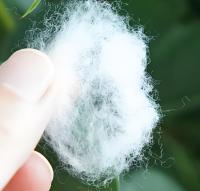 China 75D/36F AA Grade Semi-Dull Polyester DTY Yarn for sale