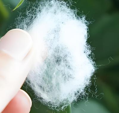 China 75D/36F AA Grade Semi-Dull Polyester DTY Yarn for sale