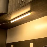 China Indoor 12 Volt LED Lights Cabinet Interiors Motion Sensor Led Light For Living Room for sale
