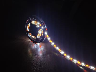 China Custom IP65 12V 96leds/M 5050 CCT  Led Strip For Outdoor Decor for sale