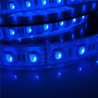 China 17W/M 5050 Led Wattage 12v 24V IP68 Waterproof Swimming Pool Led Strip Lights for sale