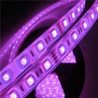 China 17W/M 5050 Led Wattage 12v 24V IP68 Waterproof Swimming Pool Led Strip Lights for sale