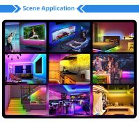China Addressable  Silicone 12v Flex 5m Neon Light Strip Dream Color RGB 16 X 16MM DIY Words for sale