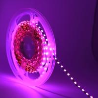 China Dc12v 5v 120led 2835 LED Strip High Bright Led Strip 12v 2700k White Red Blue Green for sale