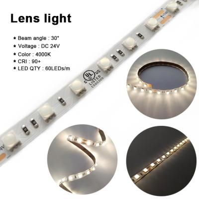 China Lens Flexible Smd 5050 Rgb Led Strip 60LEDs/M DC 24V For Home Light for sale