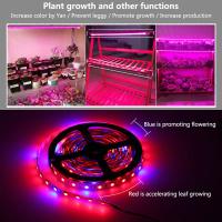 China DC12V DIY Red Blue 3:1 4:1 5:1 Led Mood Light 12V Grow Light Strips For Plants for sale