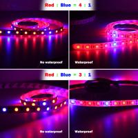 China DC12V DIY Red Blue 3:1 4:1 5:1 Led Mood Light 12V Grow Light Strips For Plants for sale