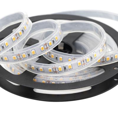 China 3mm 5mm 8mm LED Flexible Strip Cob CRI 90 Ice Blue Red Green Yellow Warm Cold White for sale