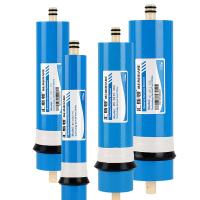 China Food Grade 600 GPD Reverse Osmosis Membrane ABS Plastic for 12 Months RO Filter Life for sale