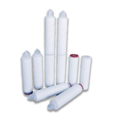 China 10 inch 0.1 Micron PTFE Pleated Membrane Water Filter Cartridge for Biological Treatment for sale