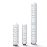 China Restaurant Alcohol Filter 0.22 Micron PES Membrane Cartridge Filter for Wine and Beer for sale