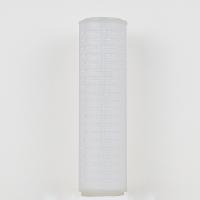 China Restaurant Alcohol Filter 0.22 Micron PES Membrane Cartridge Filter for Wine and Beer for sale