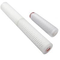 China Polypropylene PES 0.5 micron Sterilize Pleated Filter Cartridge 10inch for Industrial for sale