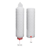 China Polypropylene PES 0.5 micron Sterilize Pleated Filter Cartridge 10inch for Industrial for sale