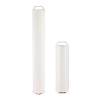 China Polypropylene PES 0.5 micron Sterilize Pleated Filter Cartridge 10inch for Industrial for sale