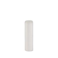China 10inch PP Pleated Cartridge for Industrial Filtration 0.1micron 0.22micron Weight KG 0.3 for sale