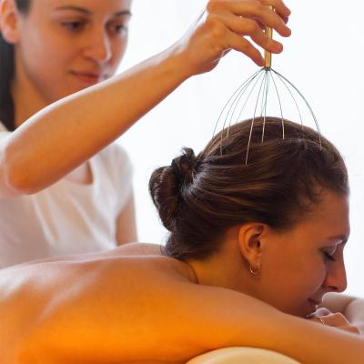 China Metal Spider Head Scalp Massager with Multiple Flexible Fingers - Handheld Design for Professional and Personal Use for sale