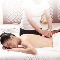 China Professional Body Massage Machine with 6-Level Suction & Heating Technology - 10W Power DC 5V Operation for sale