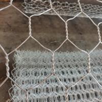 China 60x80mm to 100x120mm PVC Coated Gabion Wire Mesh with 2.0-4.0mm Wire Diameter for Erosion Control for sale