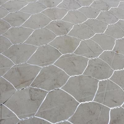 China 2.0mm Galvanized Steel Gabion Wire Mesh with 0.4-0.6mm PVC Coating for Retaining Walls and Erosion Control for sale