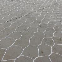 China 2.0mm Galvanized Steel Gabion Wire Mesh with 0.4-0.6mm PVC Coating for Retaining Walls and Erosion Control for sale