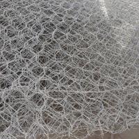 China 2.0mm Galvanized Steel Gabion Wire Mesh with 0.4-0.6mm PVC Coating for Retaining Walls and Erosion Control for sale
