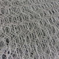 China Twisted Weaving Gabion Wire Mesh with 220-300g/m² Zinc Coating, 2.0-4.0mm Wire Diameter for Retaining Walls and Erosion Control for sale