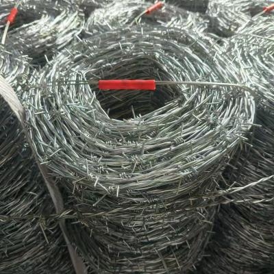 China Industrial Grade Stainless Steel Mesh 30m-100m Length 300 Series Woven Wire Screen for sale