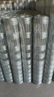 China Galvanized Chain Link Fence Silver Powder Coated Adjustable Post Lengths 100 Sets for sale
