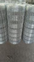 China Galvanized Chain Link Fence 2m Height Silver Powder Coated Metal Mesh for sale