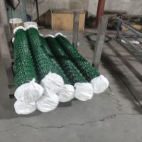 China Galvanized Chain Link Fence with Powder Coated Finish for sale