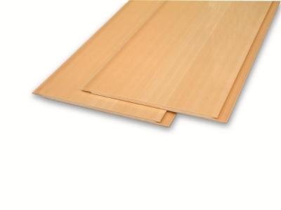 China SGS WPC Composite Wall Paneling Mobile Home Wall Coving Panels for sale