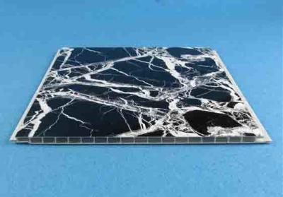 China Aluminium Marble Plastic Composite Panel Fashion Shaping Easily for sale