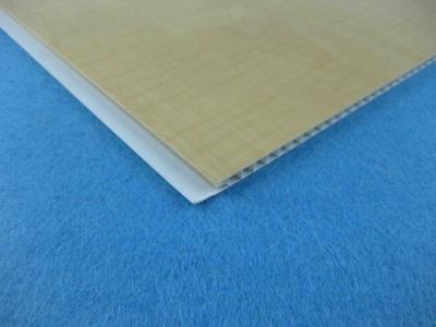 China Wooden Plastic Composite Wpc Wall Panel Wall For Roofing Structural for sale