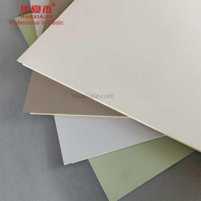 China Antiseptic Wpc Wall Panel For Decoration 2800*600*9mm for sale