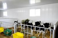 China High Gloss Printing 5mm - 10mm PVC Ceiling Panels For Farm Wall / Roof CE for sale