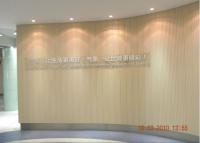 China Waterproof Durable Exterior / Interior Wall Cladding For Spa Surrounds for sale