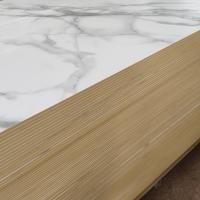 China Eco-friendly Recyclable WPC Wall Panel with Modern Design Style Resistant to Moisture Rot and Insects for sale