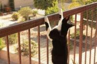 China Customized Mesh Size 10m X 3m White Balcony Protection Knotted Netting Cat Safety Net for sale