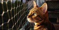 China Customized Mesh Size 10m X 3m White Balcony Protection Knotted Netting Cat Safety Net for sale