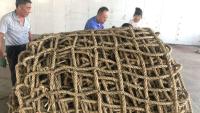 China 200mm*200mm Mesh Size Sisal Rope Safety Net for Helicopter Platform Fall Protection for sale