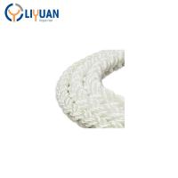 China Marine Rope YILIYUAN 8 Braided Polyester PP Danline Rope for Marine Applications for sale