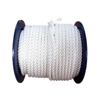 China 3/4 Strand 20mm Twisted Danline PP Rope with CCS.ABS.LRS.BV.GL.DNV.NK Certification for sale