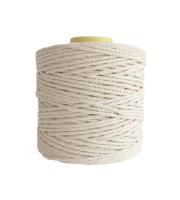 China 100m/roll 4mm macrame cotton cord rope with diameter options of 3mm/5mm/6mm by YILIYUAN for sale