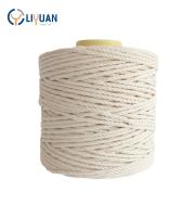 China 100m/roll 4mm macrame cotton cord rope with diameter options of 3mm/5mm/6mm by YILIYUAN for sale