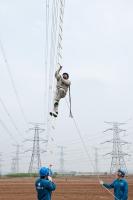 China Electric Traction Rope 4mm Diameter Braided PP Rope for Tough Conditions for sale