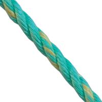 China 3/4 Strand 20mm Twisted Danline PP Rope with CCS.ABS.LRS.BV.GL.DNV.NK Certification for sale